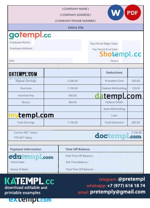generate Salary Slip Paystub Word and PDF