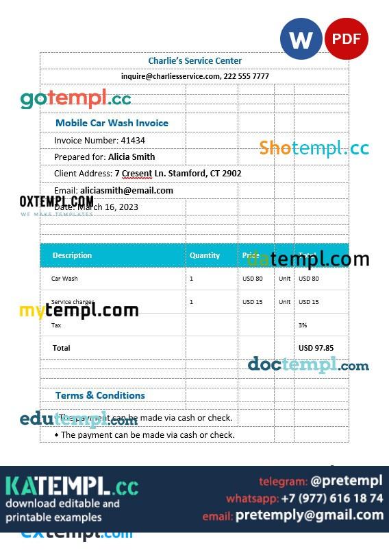 generate Mobile Car Wash Invoice in word and pdf format