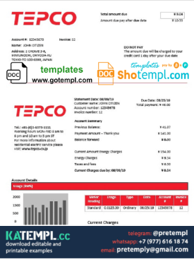 generate Japan Tokyo Electric Power Company electricity utility bill in ...