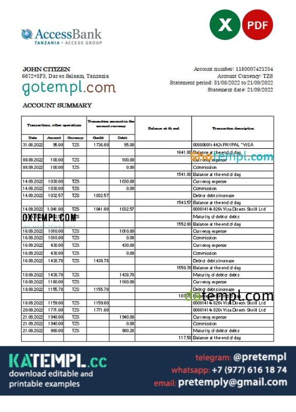 generate Tanzania Access bank statement , Excel and PDF